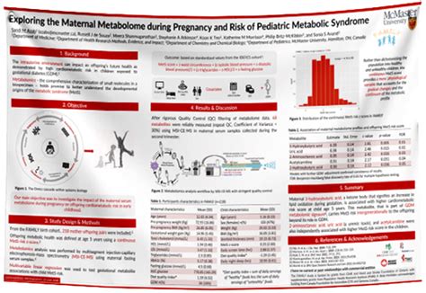 Mcmaster University Research Poster 70 36x48 Fabric Hamilton Ont