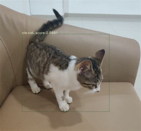 mmyolo docs zh cn get started 15 minutes object detection md at main