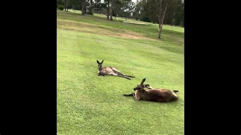 코킹하고 손목풀어서 스냅으로 몸크게 쓰는것보다 손목풀어서 중략샷 클럽쉽게 던지기 Youtube