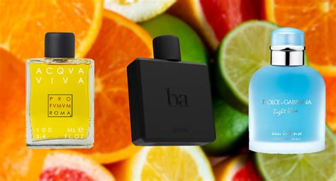 Top 10 Citrus Perfumes At Madeline Lampert Blog