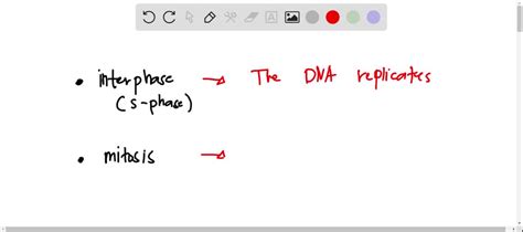 Solved Drag The Tiles To The Correct Boxes To Complete The Pairs