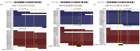Snv Detection In Bisulfite Converted Reads Sequence Variation Can Be Download Scientific