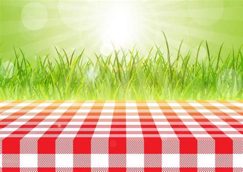 Picnic Blanket Vector Art Icons And Graphics For Free Download