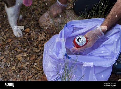 Man Throwing A Can Picked Up In The Field Into A Garbage Bag Stock Photo Alamy