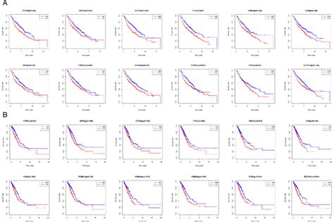 Prognostic Role Of Genes Identified By Scrna Seq In Tcga Lung Download Scientific Diagram