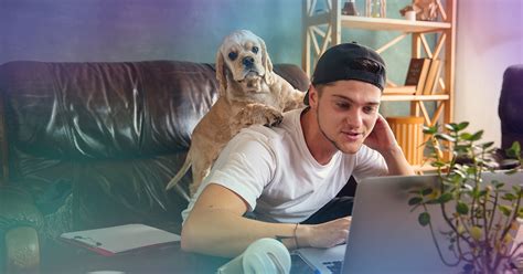 Czym Jest Net Framework Codecool