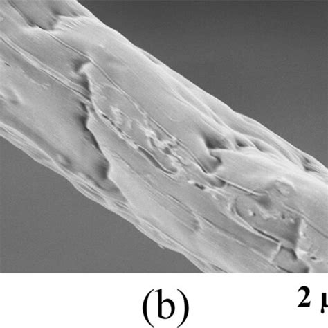 The Preparation Process Of Cellulose Fibers Films Download Scientific Diagram