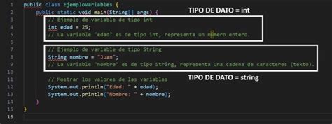 Tipos De Datos En Programación [la Mejor Explicación]
