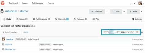 Using Codebeat With A Self Hosted Repo