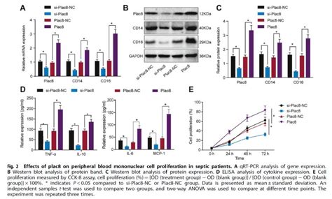 Jane Markley Papadaki On Linkedin Plac8 Septicye