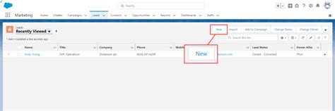 Salesforce Leads Complete Tutorial