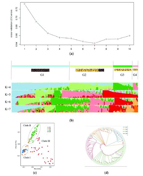 Genetic Diversity And Population Structure Of The Studied B Juncea