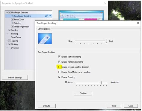 cannot reverse the scrolling or remove tap to click after microsoft