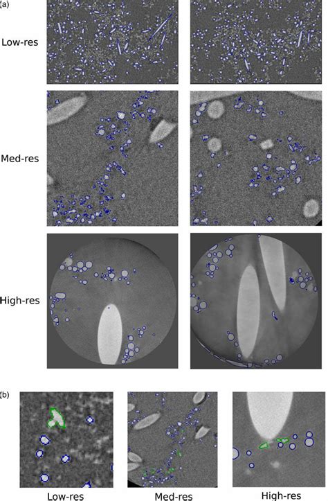 Examples Of Segmentation Results For Each Resolution On Different