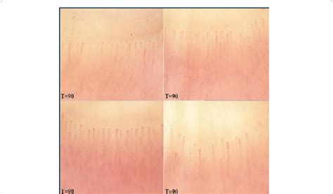 Framework Within The Limits Of The Norm Download Scientific Diagram