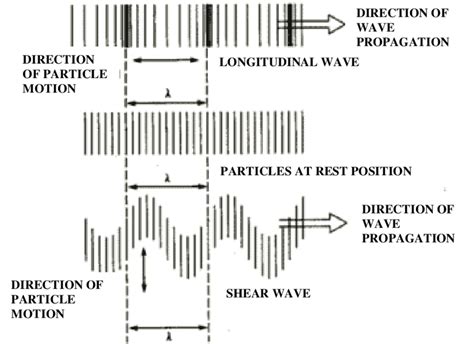 Shear Wave Diagram At Kara Torres Blog