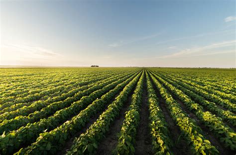 Epa Applauded For Easing Regulatory Burdens On Farmers Using