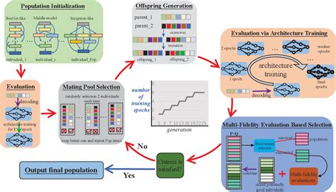 Accelerating Evolutionary Neural Architecture Search Via Multi Fidelity Evaluation