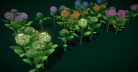 Flower Hydrange 3d Flowers Unity Asset Store