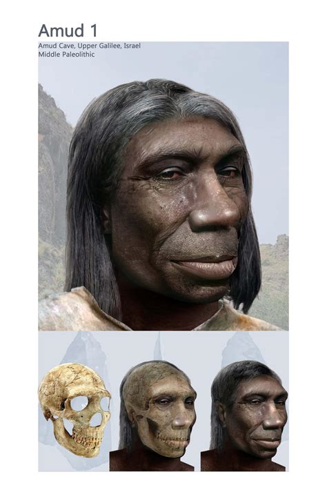 Amud 1 Neanderthal By Philipedwin On Deviantart