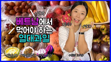 베트남에는 어떤 과일이 있을까 베트남 과일 사용 설명서 Youtube