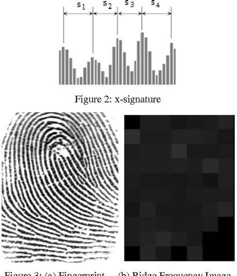 Figure 1 From Altered Fingerprint Matching Using Ridge Texture And Frequency In The Unaltered