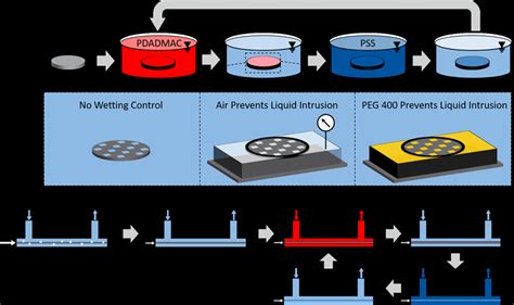 Schematic Setup Used For Polyelectrolyte Deposition A Static Coating Download Scientific