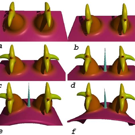 Shows A Sequence Of Local Refinements And Global Deformations Given An Download Scientific