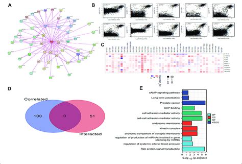 Enrichment Analysis Of Tmprss2 Related Genes A The String Tool Was