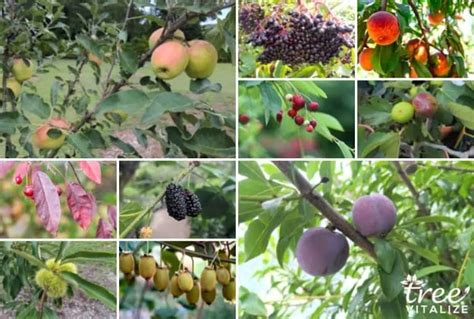 Planting Zones Utah Hardiness Gardening And Climate Zone