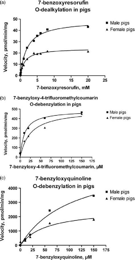Sex Related Differences In Michaelis Menten Kinetics Of Download