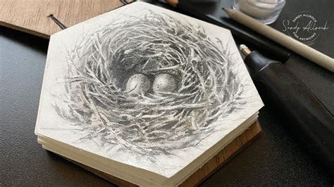 How To Draw A Bird Nest Sandy Allnock