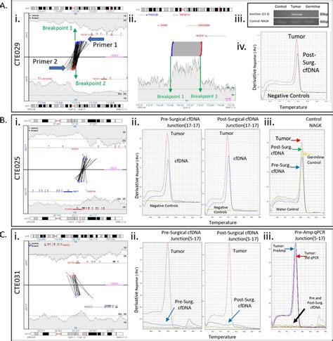 Junction Primer Design And Qpcr Cfdna Detection Results A Case Download Scientific Diagram