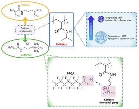 Thermoresponsive Cationic Polymers Pfas Binding Performance Under Variable Ph Temperature And