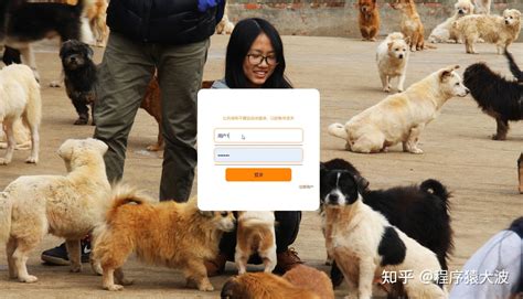 基于javaSpringBoot和Vue流浪动物救助领养管理系统设计附源码 知乎