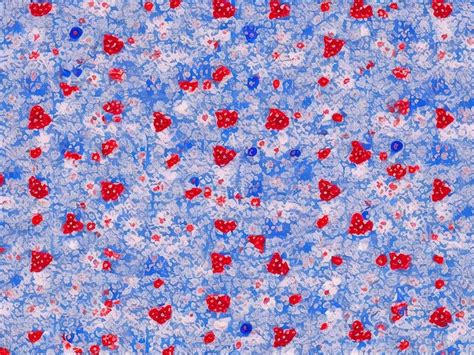 Premium Photo A Pattern With A White Background And Small Red Blue White Elements These Small