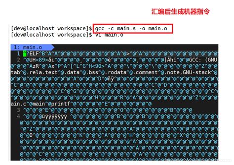 【linux】程序的编译与运行（4阶段实例图解）程序运行四个阶段 Csdn博客