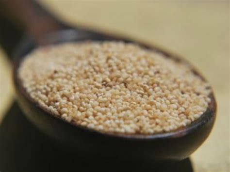 கசகசாவில் இருக்கும் வியக்கத்தக்க டாப் 5 மருத்துவ குணங்கள் Amazing Health Benefits Of