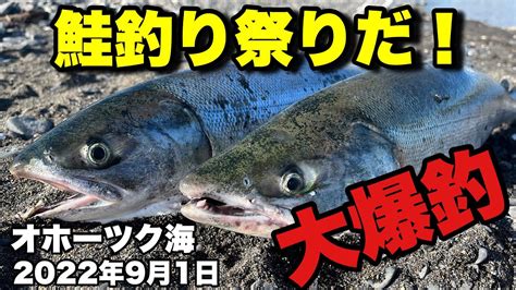 鮭釣り2022年鮭祭り開幕 アキアジ釣り 第3戦 これだけ釣れれば大満足 YouTube
