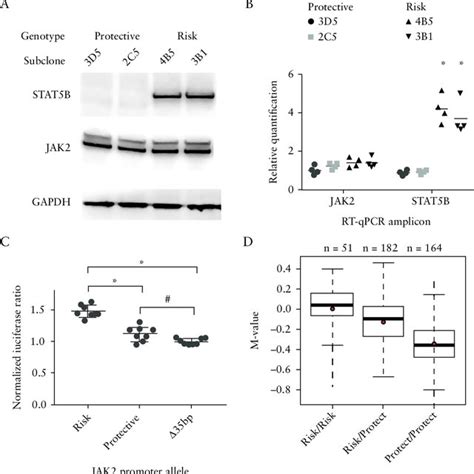 Comparative Affinity Purification Mass Spectrometry Ap Ms Analysis