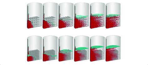 Predicted Cell Distribution During Cell Seeding Process From Left To