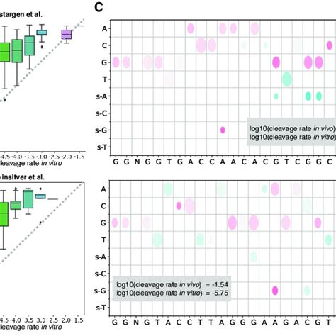 Model Performance Across Different Support Set Sizes For Densenet 121