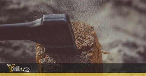 Tree Felling And Stump Removal In Georgia United States