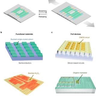 PDF Stretchable Transistors And Functional Circuits For Human Integrated Electronics