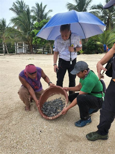 Denr Usec Adobo Witnesses Newly Hatched Turtles In Brgy Cutcutan