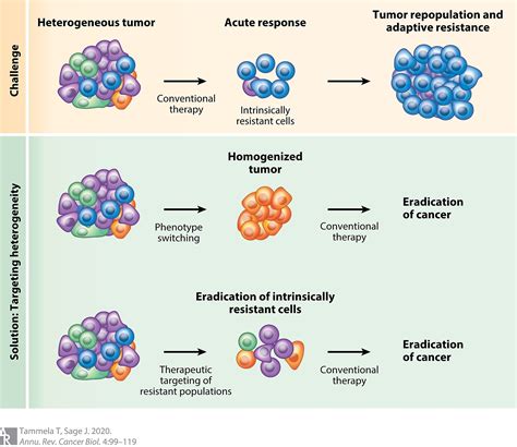 Spatial Transcriptomics—the Next Evolution Of Cancer Drug Discovery Rna Seq Blog