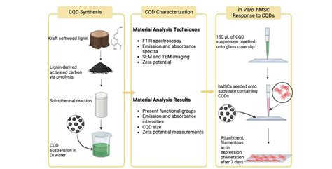 Nanomaterials Free Full Text Novel Kraft Softwood Lignin Derived Carbon Quantum Dots