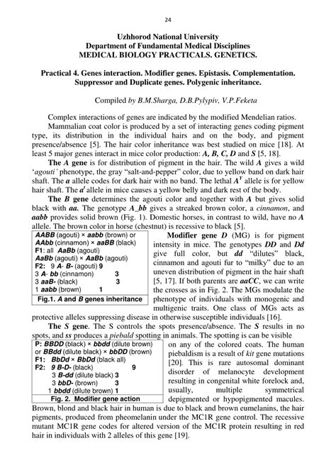 pdf medical biology practicals genetics practical 4 genes interaction modifier genes