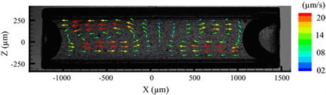 Reconstructed Velocity Vector Field In The Vertical Plane X Z Plane