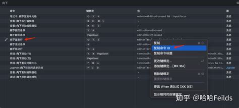 Vscode 中使用vim 极简版 知乎